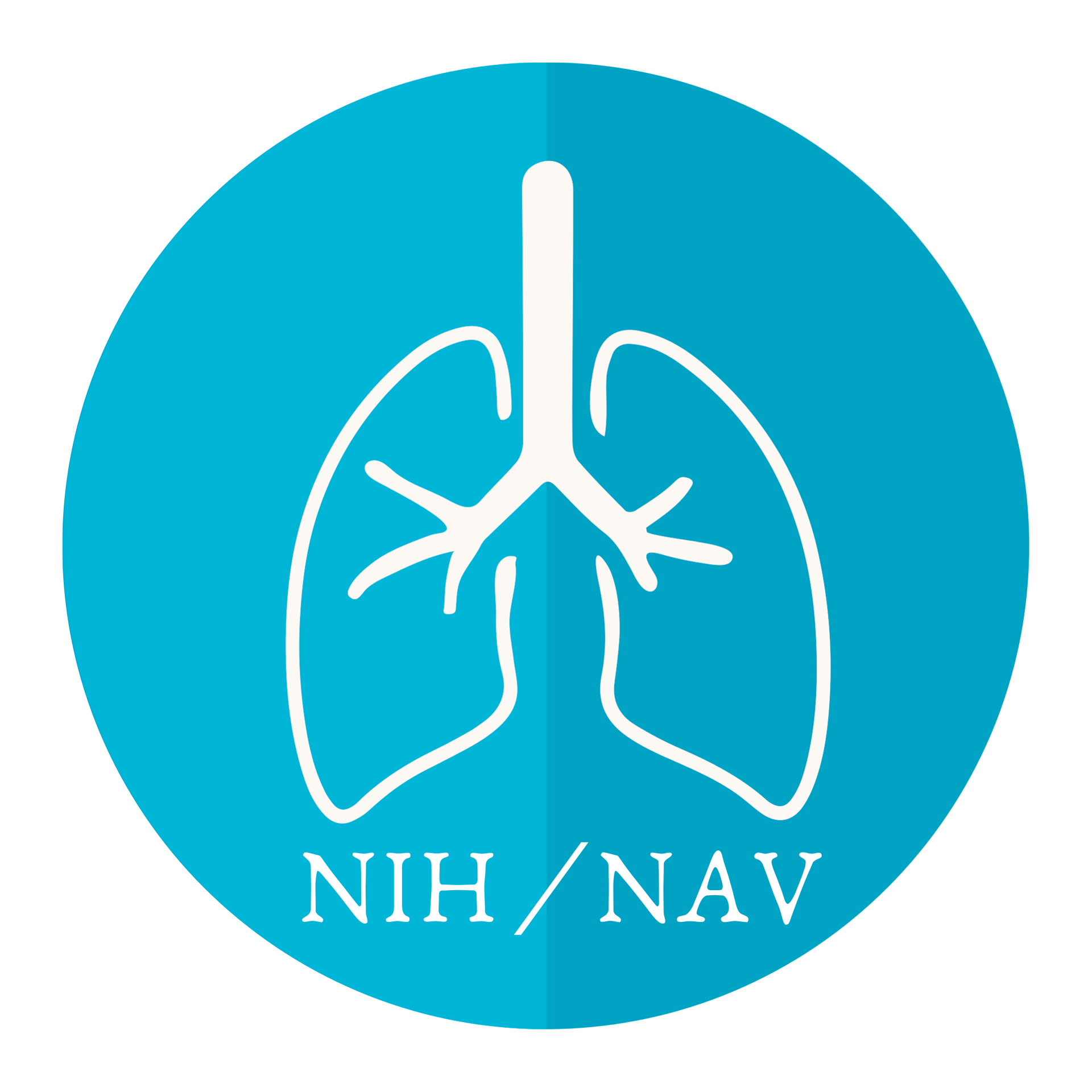 Incmnsz Logo Desarrollo de la investigación en nutrición humana t_2 ...